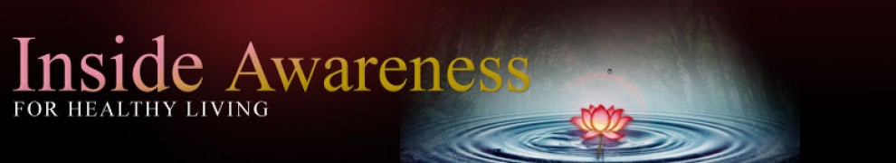 inside awareness logo | Inside Awareness Center for Integrative Somatic ...