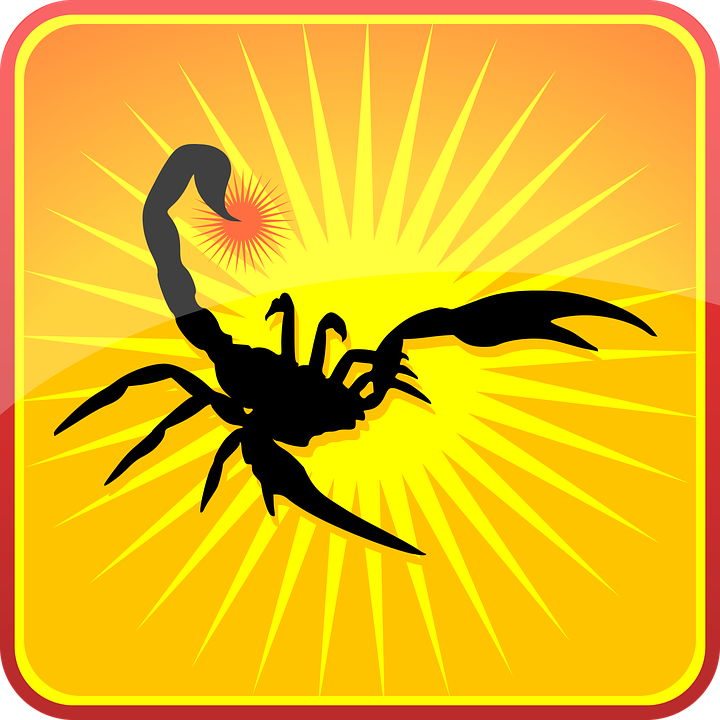 Six ways to balance emotions & reactive behaviours of Scorpio | Inside ...